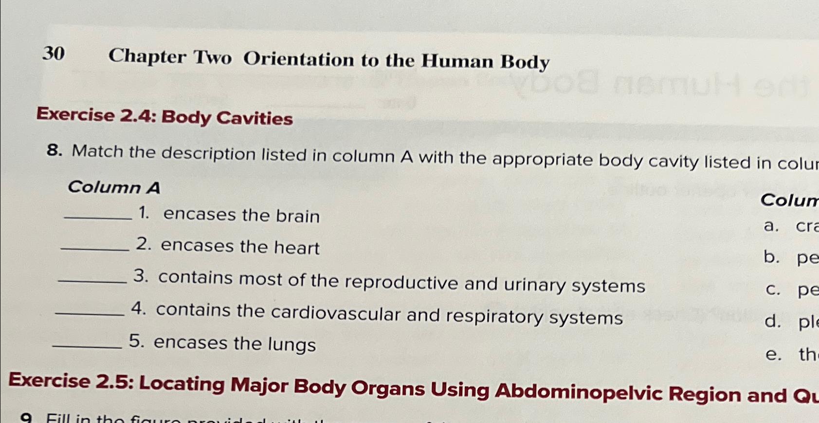 Solved 30 ﻿Chapter Two Orientation to the Human BodyExercise | Chegg.com