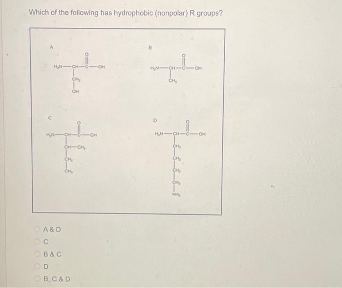 Solved Which of the following has hydrophobic (nonpolar) R | Chegg.com