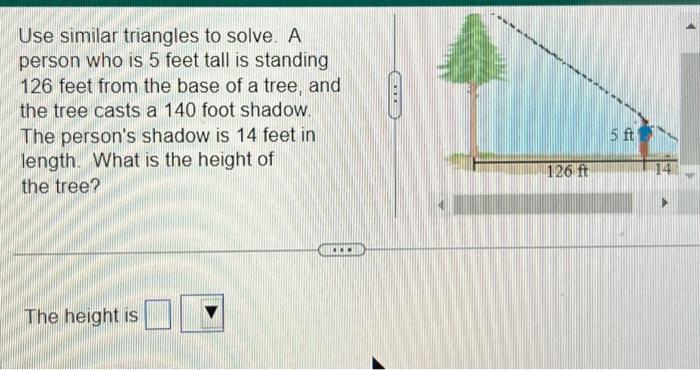 Solved Use similar triangles to solve. A person who is 5 | Chegg.com