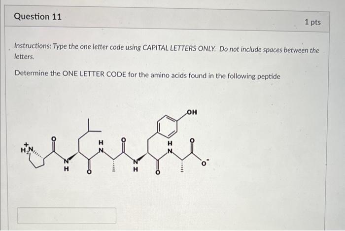 Solved Instructions: Type the one letter code using CAPITAL | Chegg.com