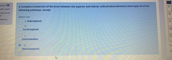 Solved estion 28 31 A complete transection of the brain | Chegg.com