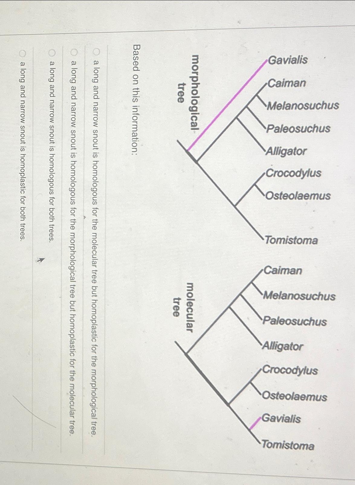 Solved Based on this information:a long and narrow snout is | Chegg.com