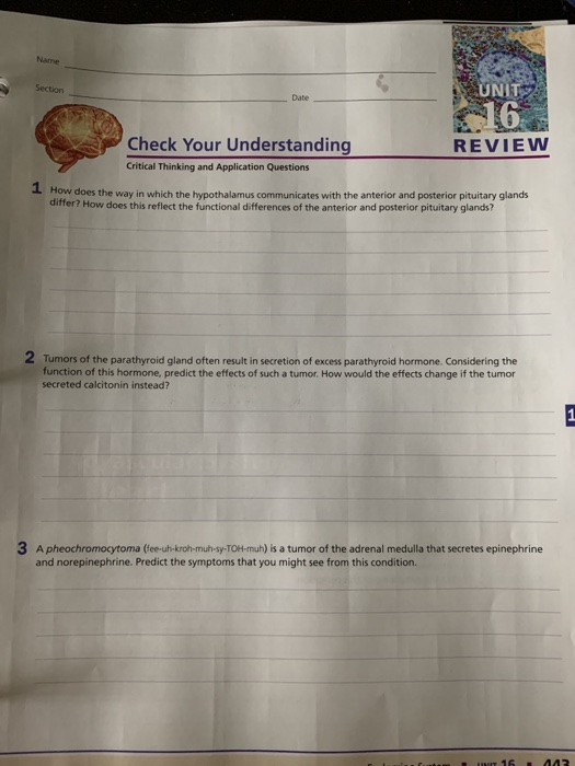 Solved Name Section UNITS Date Check Your Understanding | Chegg.com