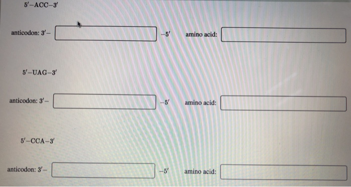Solved for each codon, provide the anticodon and the | Chegg.com
