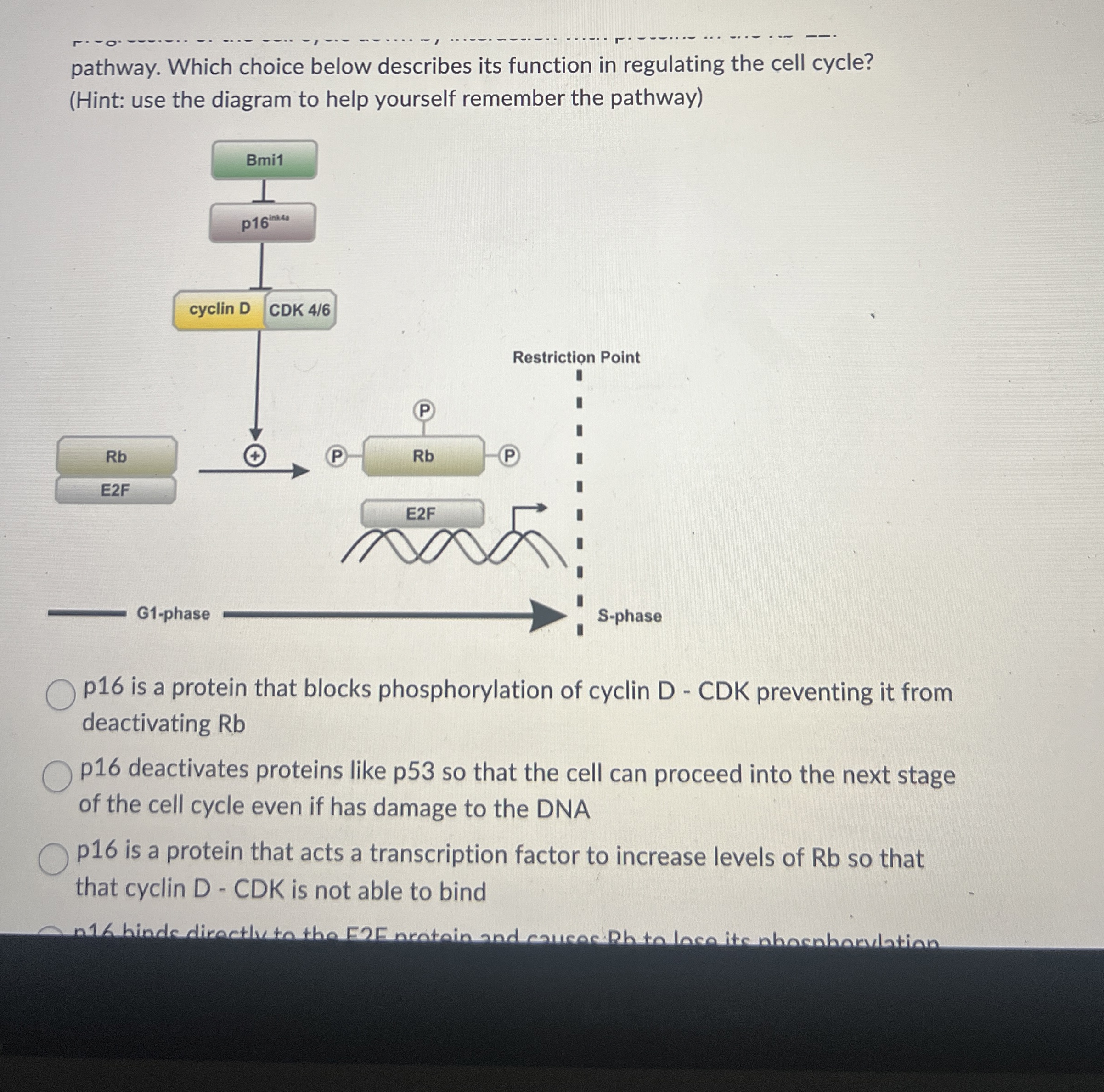 Solved pathway. Which choice below describes its function in | Chegg.com