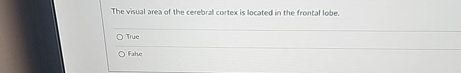 Solved The visual area of the cerebral cortex is located in | Chegg.com