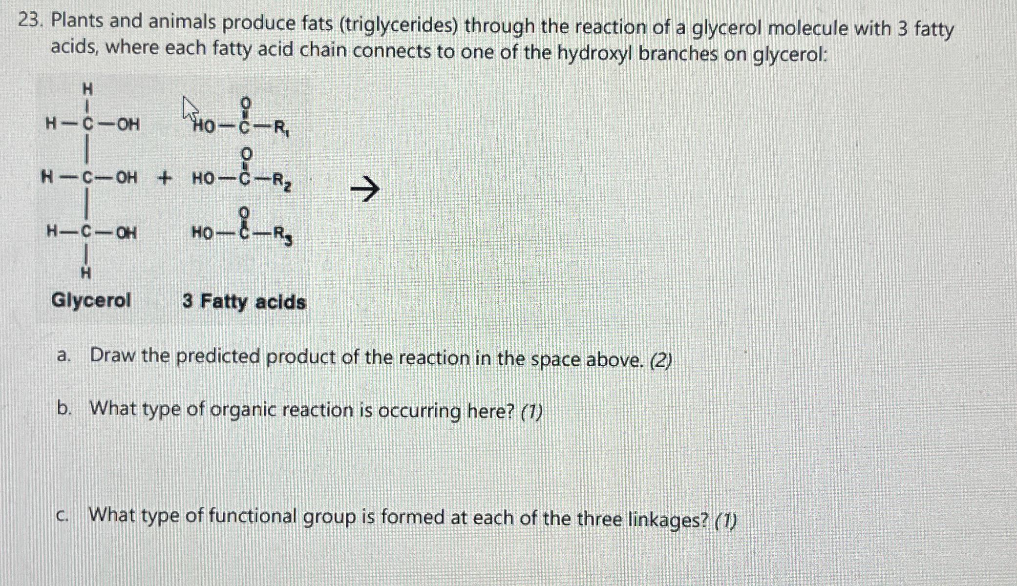 Solved Plants and animals produce fats (triglycerides) | Chegg.com