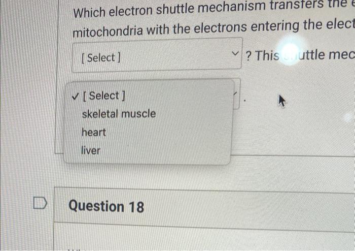 Solved Which electron shuttle mechanism transfers the | Chegg.com