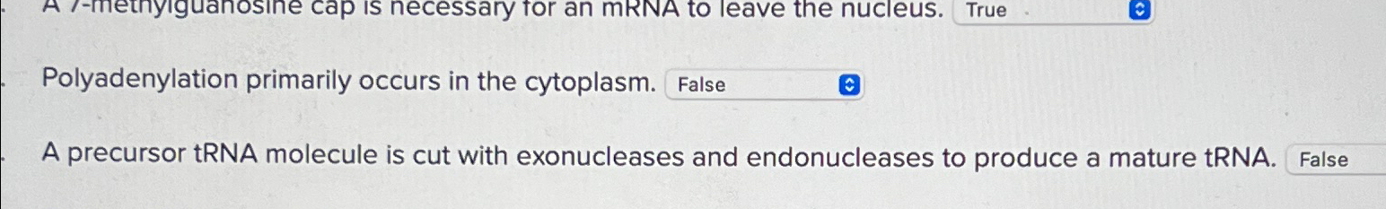 Solved A precursor tRNA molecule is cut with exonucleases | Chegg.com