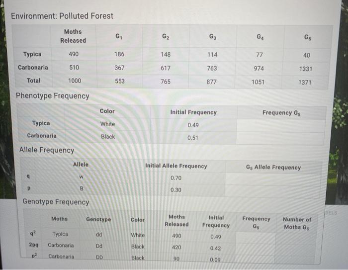 TURAL SELECTION NATURAL SELECTION IN INSECTS Lab Data | Chegg.com