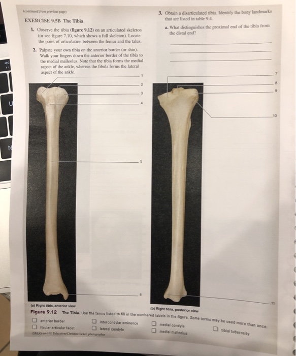 Solved (contiued from previous papr) 3. Obtain a | Chegg.com