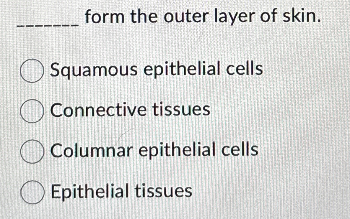 High Quality SOLUTION q, ﻿form the outer layer of skin.Squamous epithelial | Chegg.com
