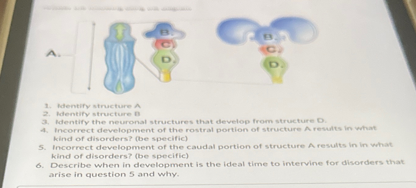 Solved Identify structure AHentify structure BIdentify the | Chegg.com
