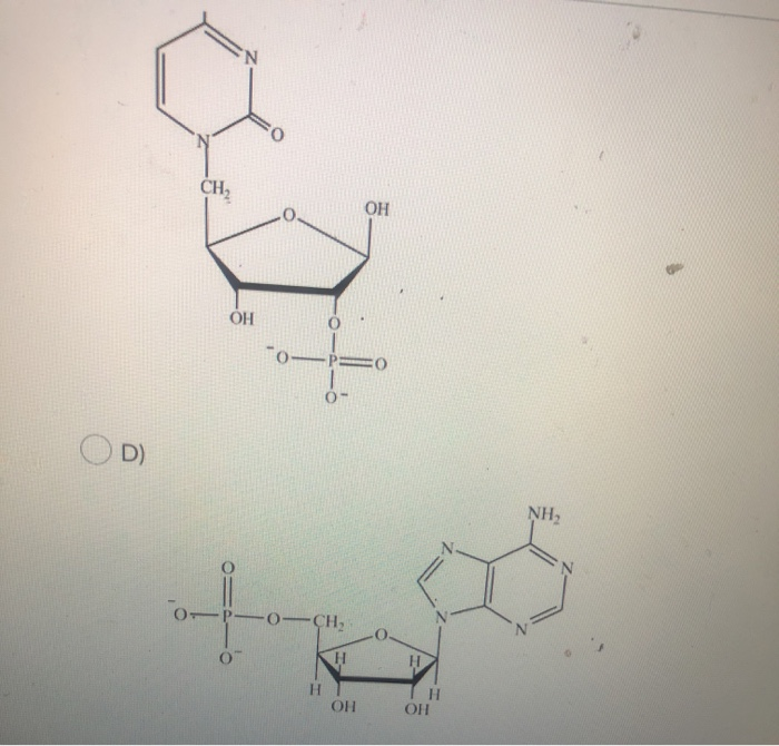 Solved Which structure represents a nucleotide? A) CHOP-O- | Chegg.com