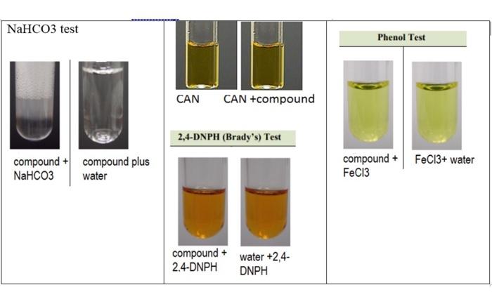 Solved NaHCO3 test compound + compound plus NaHCO3 water CAN | Chegg.com