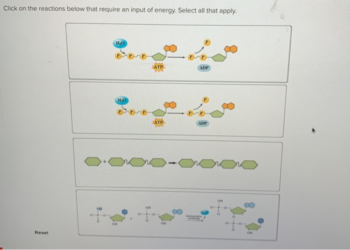 Solved Click on the reactions below that require an input of | Chegg.com