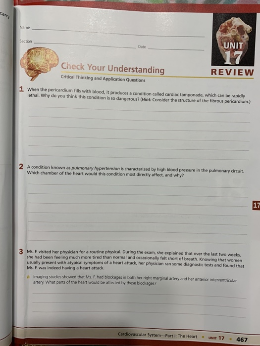 Solved carry Name Section - Date - UNIT Check Your | Chegg.com