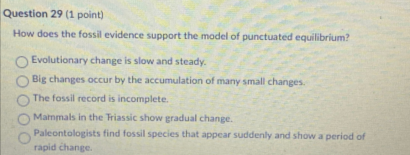 Solved Question 29 (1 ﻿point)How does the fossil evidence | Chegg.com