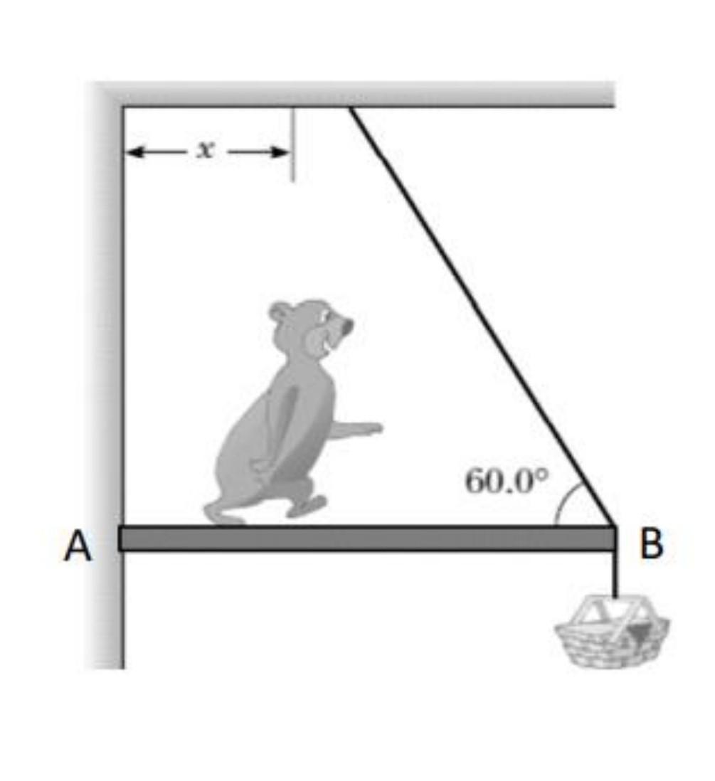 Solved The bear of weight 700 N walking on the horizontal | Chegg.com