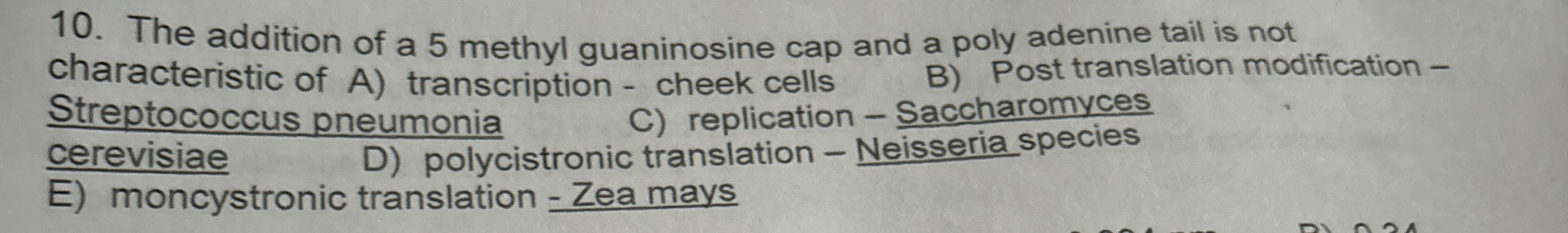 Solved The addition of a 5 ﻿methyl guaninosine cap and a | Chegg.com