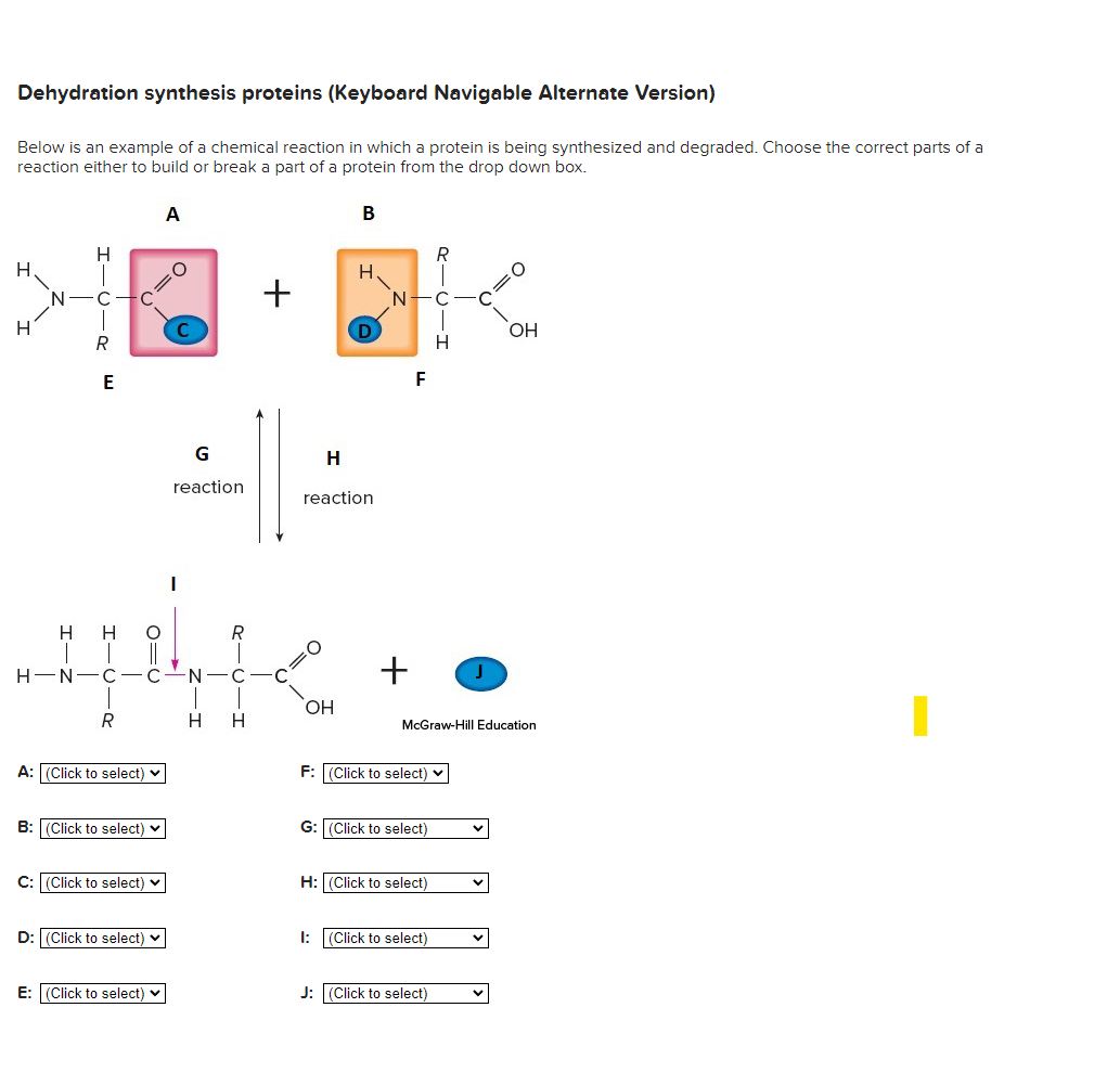 Solved Dehydration synthesis proteins (Keyboard Navigable | Chegg.com