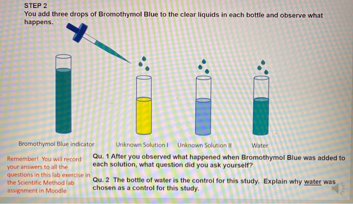 Solved STEP 2 You add three drops of Bromothymol Blue to the | Chegg.com