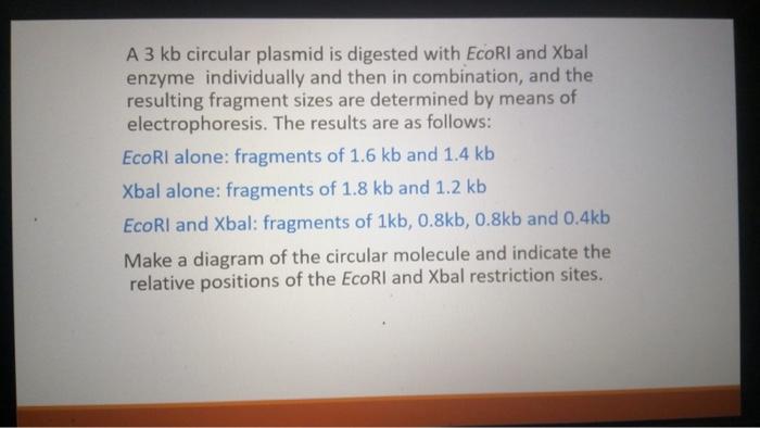 Solved A 20 kb circular plasmid is digested with EcoRI and | Chegg.com