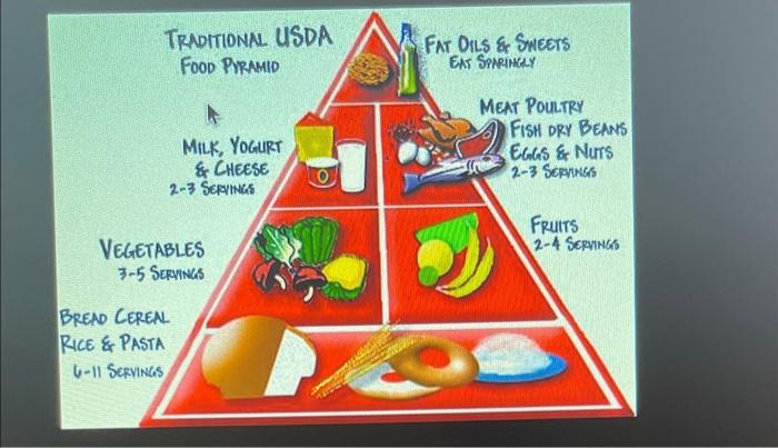 Myplate Food Pyramid Poster