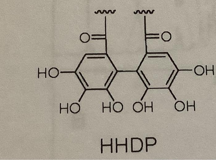 Solved In ellagitannin, which is a polyphenol group, please | Chegg.com