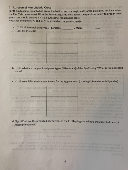 Solved Tovin Name Drosophila Genetics Predictions L113 20