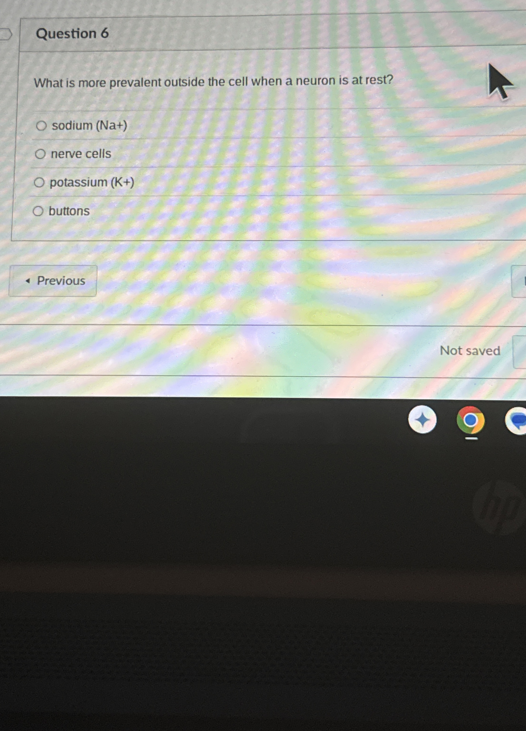 Solved Question 6What is more prevalent outside the cell | Chegg.com