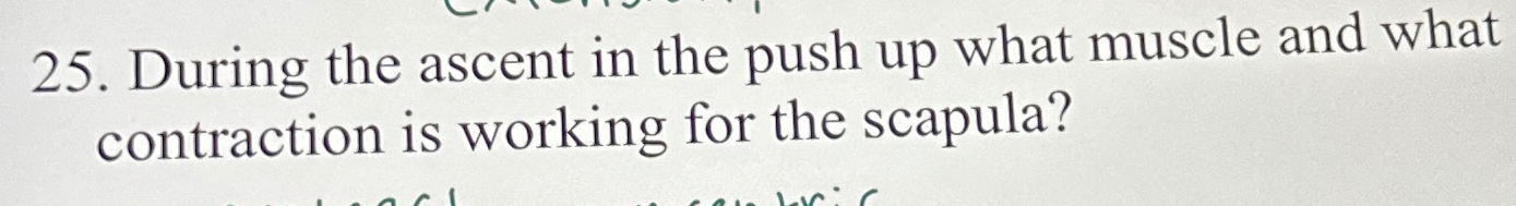 Solved During the ascent in the push up what muscle and what | Chegg.com