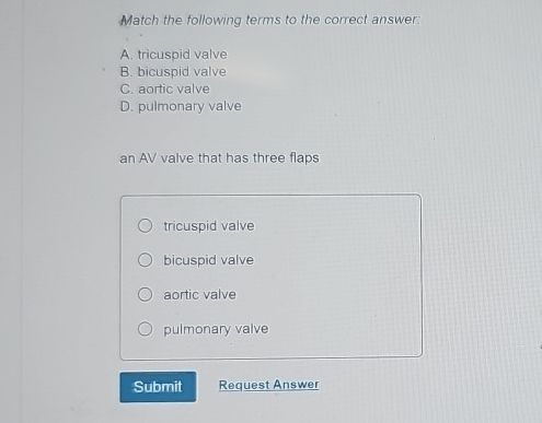 Solved Match the following terms to the correct answer:A. | Chegg.com