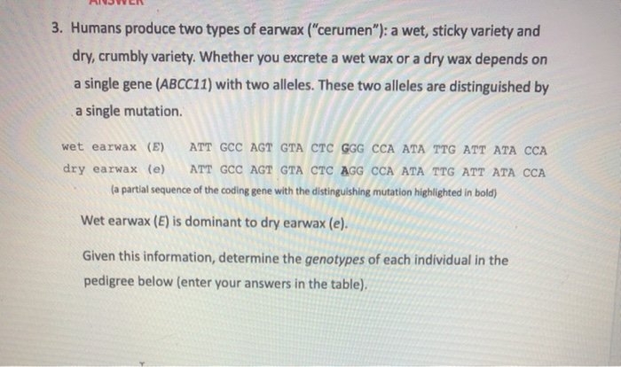 3. Humans produce two types of earwax ("cerumen"): a | Chegg.com