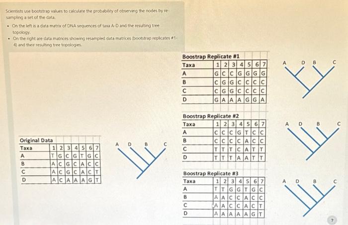 Solved Scientists use bootstrap values to calculate the | Chegg.com