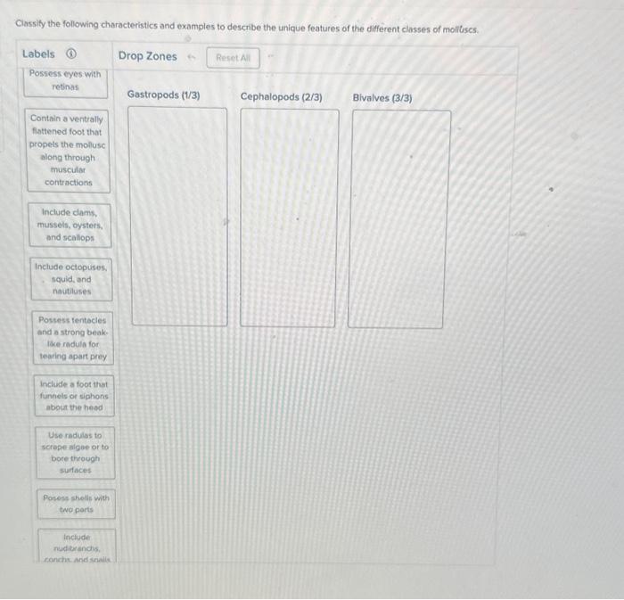 Solved Classify the following characteristics to | Chegg.com