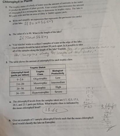 Solved b. ﻿Give an example of 5 ﻿sample chlorophyll levels | Chegg.com