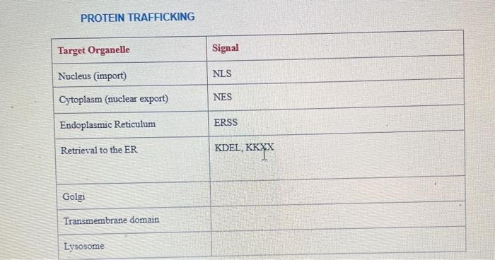 Solved PROTEIN TRAFFICKING | Chegg.com