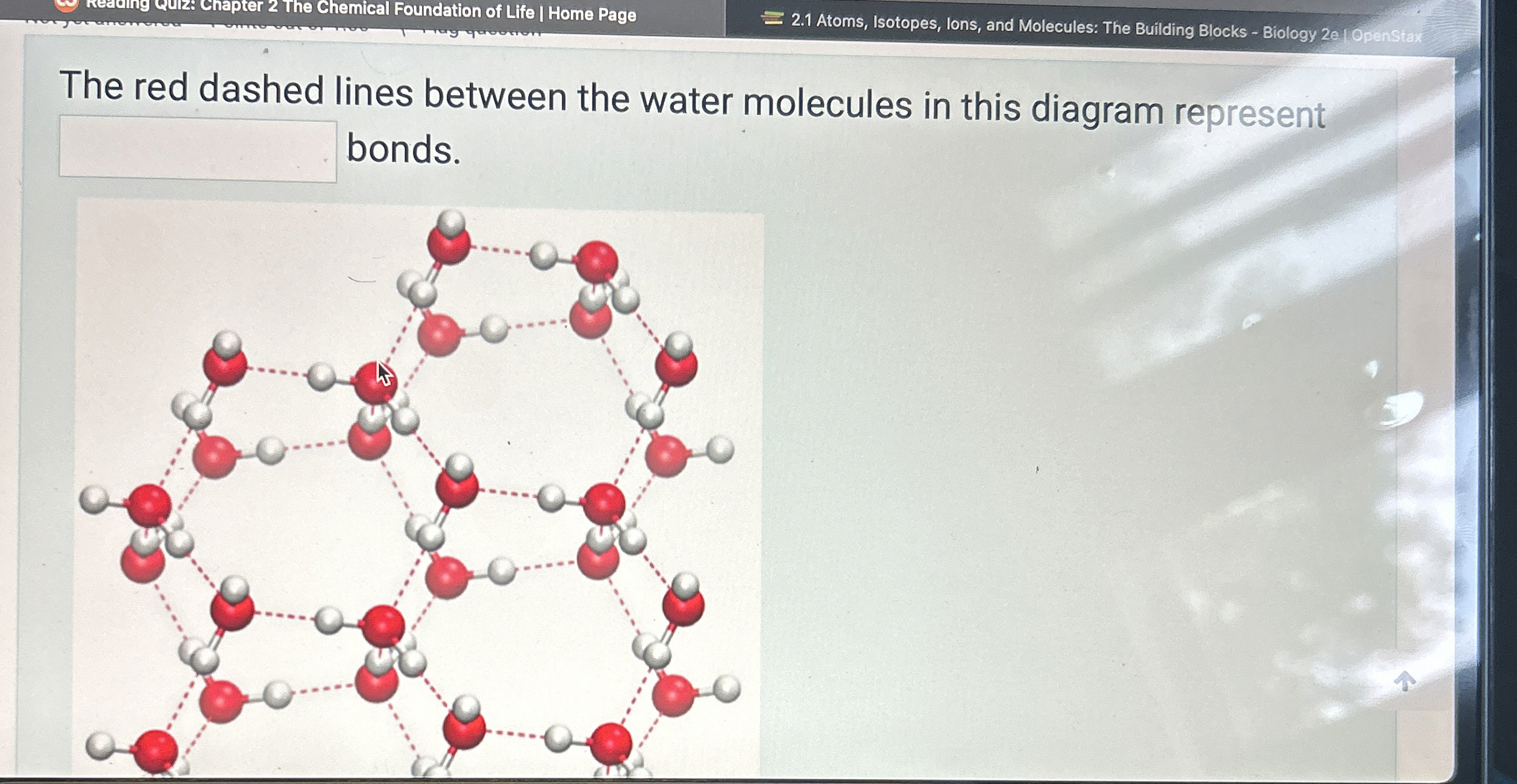 Solved The red dashed lines between the water molecules in | Chegg.com