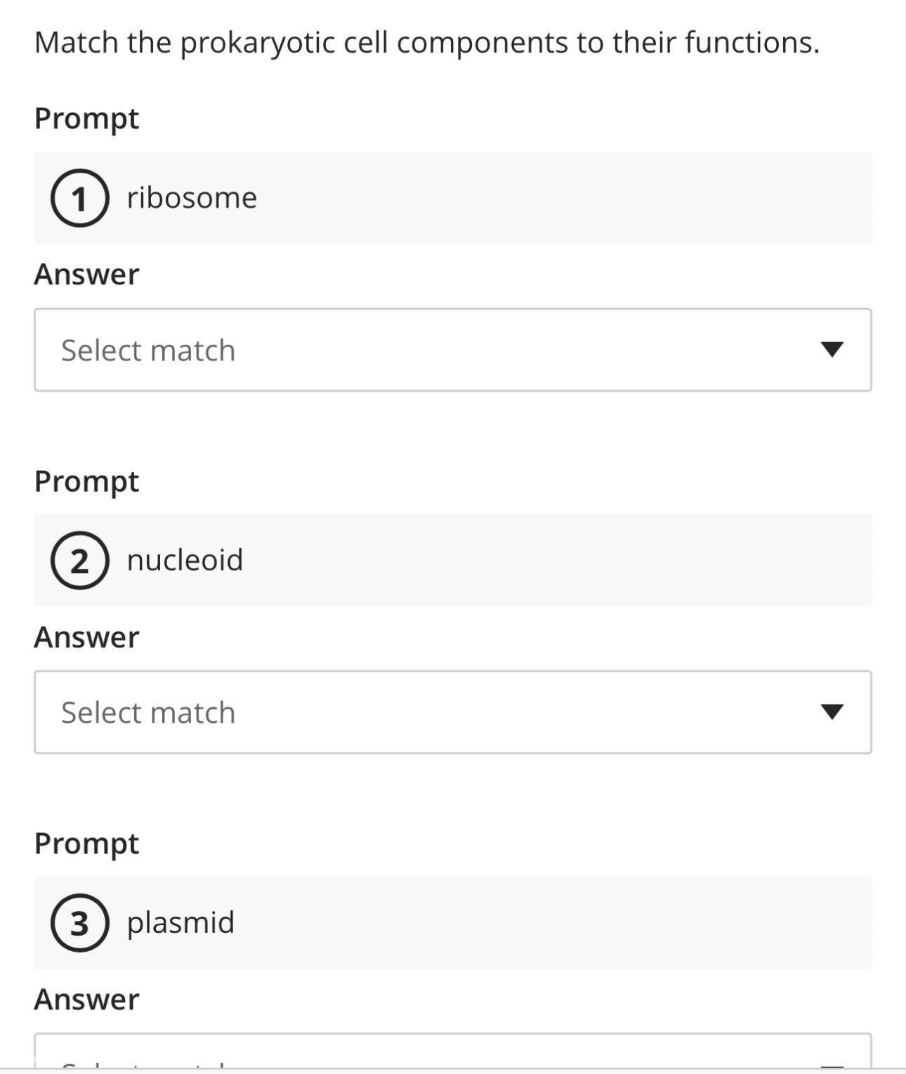 Solved Match the prokaryotic cell components to their | Chegg.com