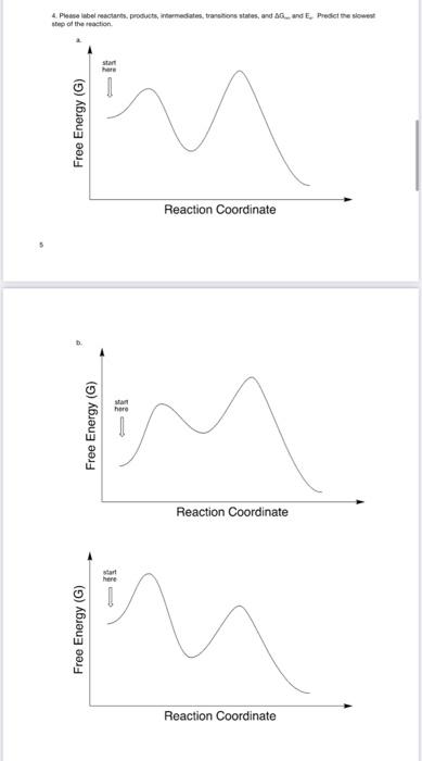 Solved ites of the naction. | Chegg.com