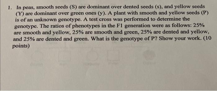 Solved 1. In peas, smooth seeds (S) are dominant over dented | Chegg.com