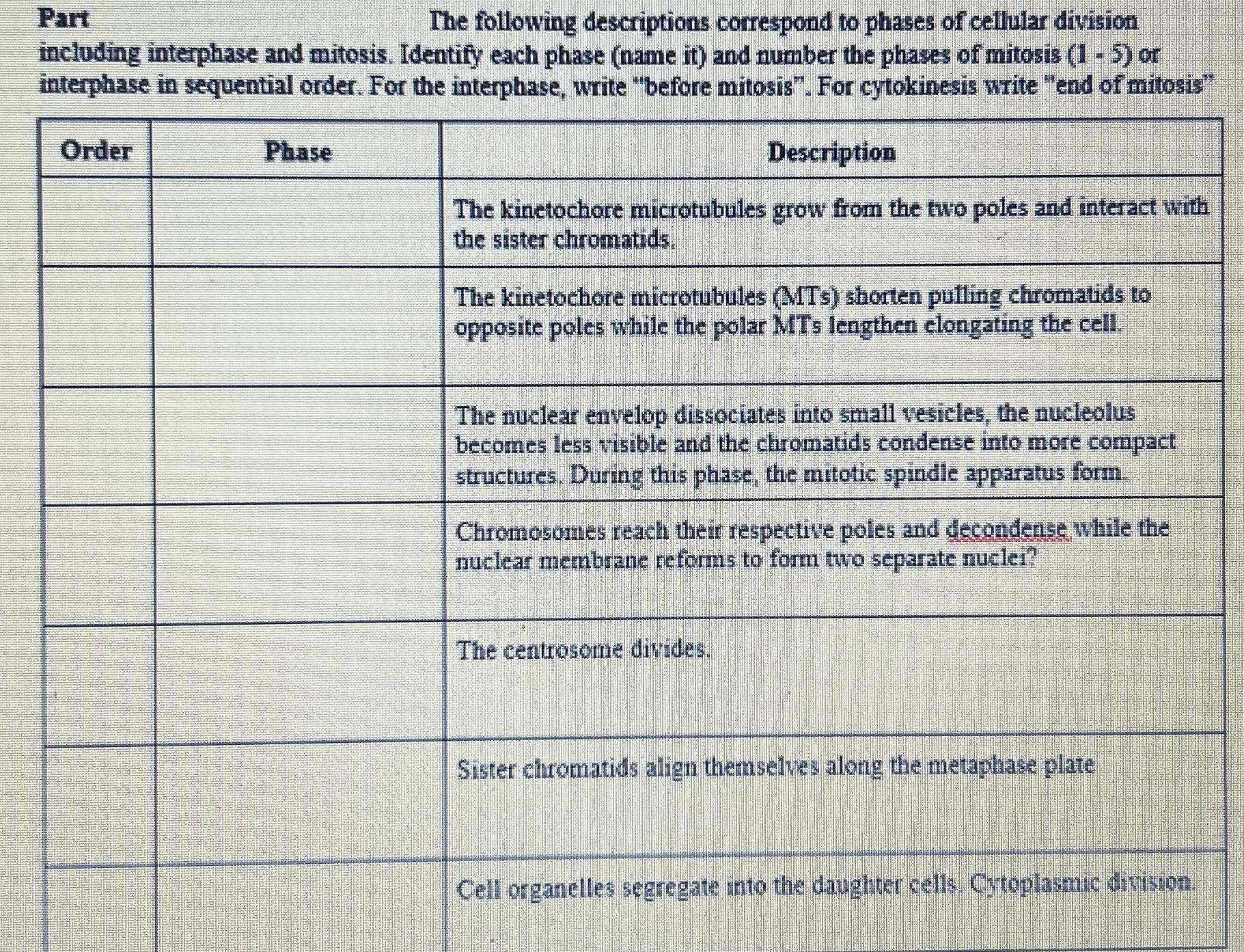 Solved PartThe following descriptions correspond to phases | Chegg.com