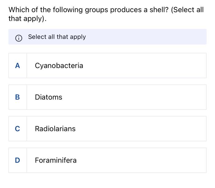 Solved Which of the following groups produces a shell? | Chegg.com