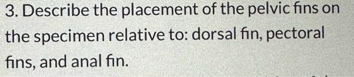 Solved 3. Describe the placement of the pelvic fins on the | Chegg.com