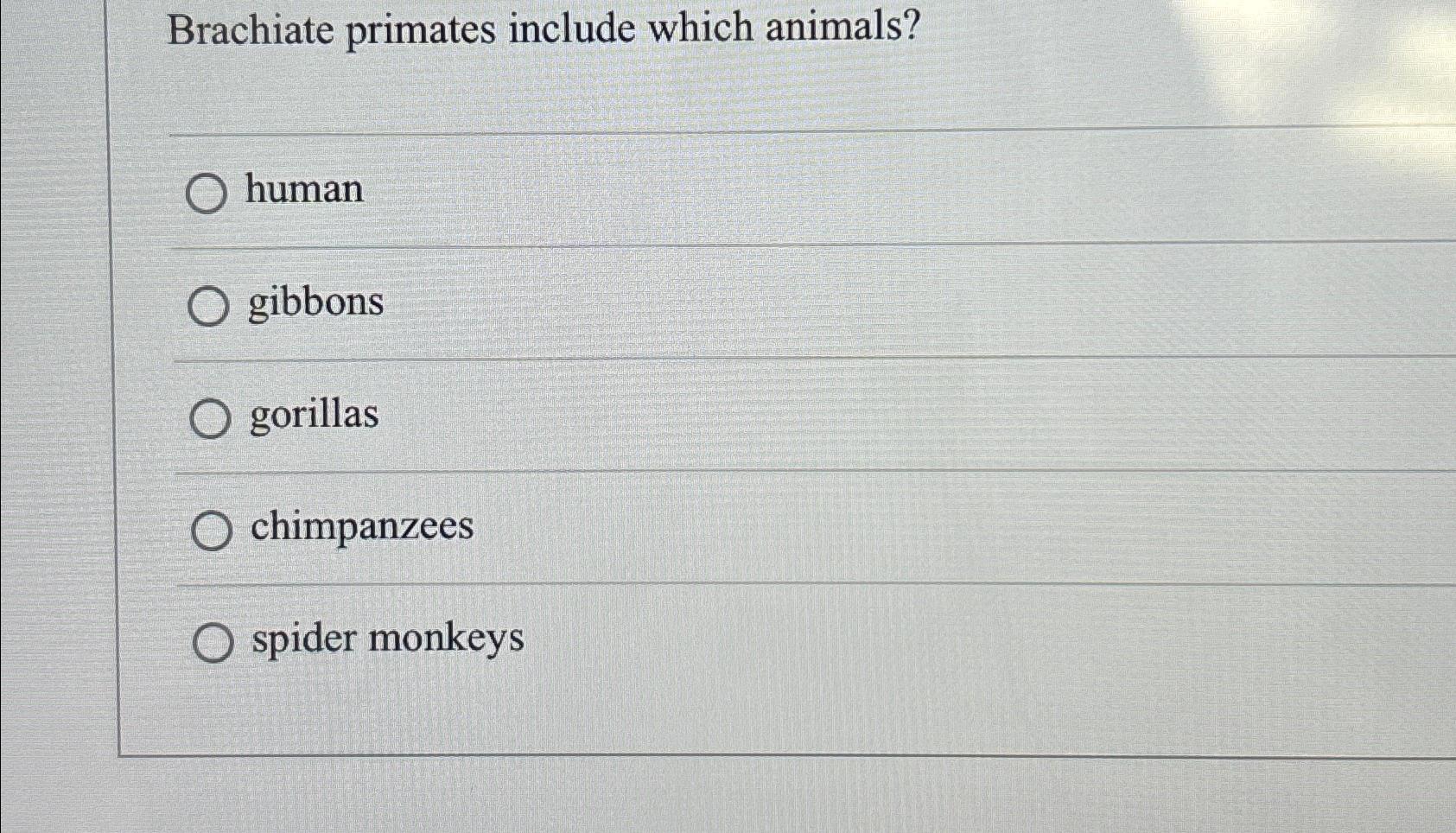 Solved Brachiate primates include which | Chegg.com