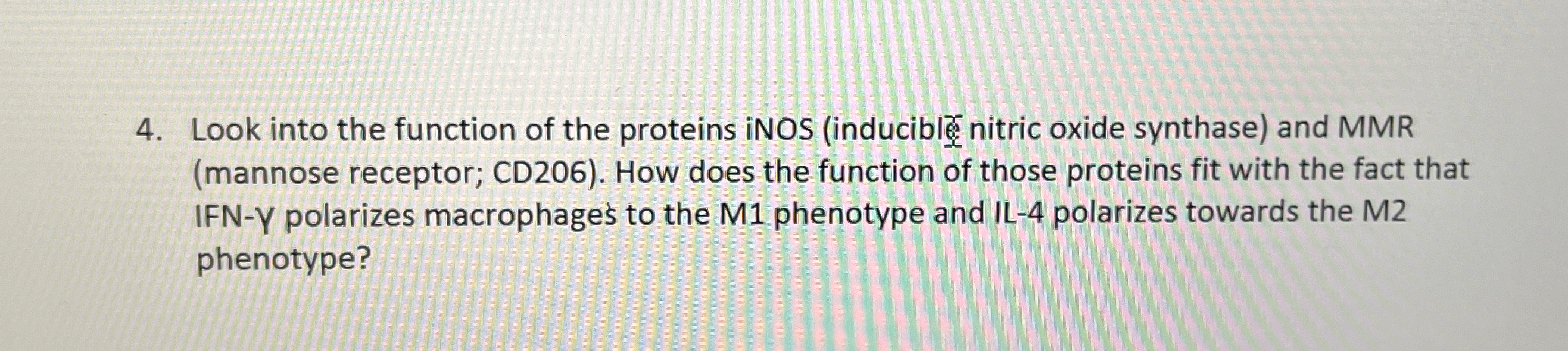 Solved Look into the function of the proteins iNOS | Chegg.com