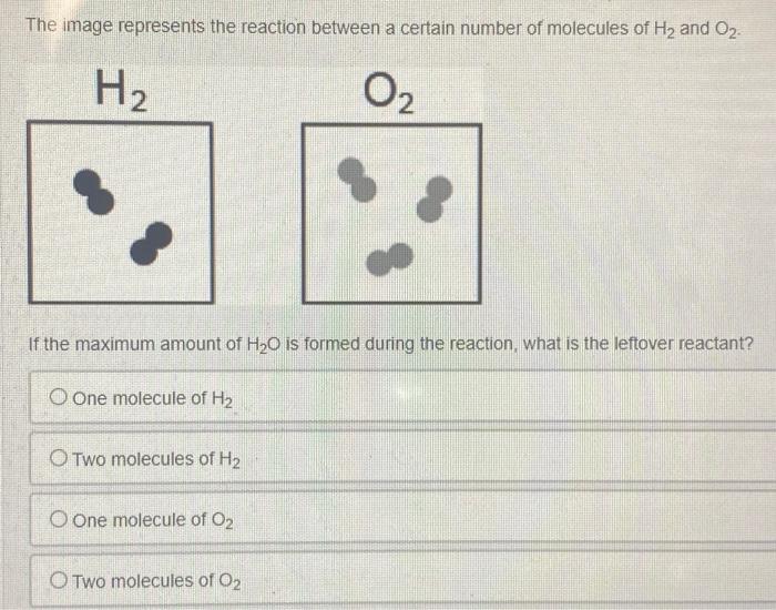 Solved The image represents the reaction between a certain | Chegg.com
