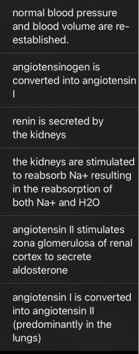 Solved The renin-angiotensin-aldosterone system is very | Chegg.com