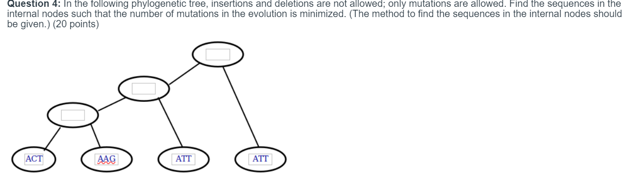 Solved Question 4: In the following phylogenetic tree, | Chegg.com